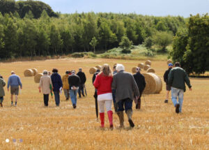 Brookfield Farm | Tours, Raw Irish Honey & Beeswax Gifts