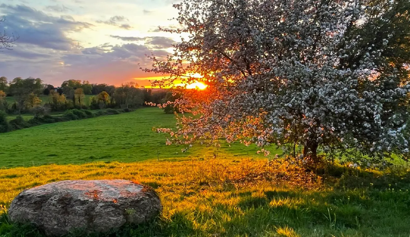 Ireland’s Living Landscape Bespoke Experience - Brookfield Farm
