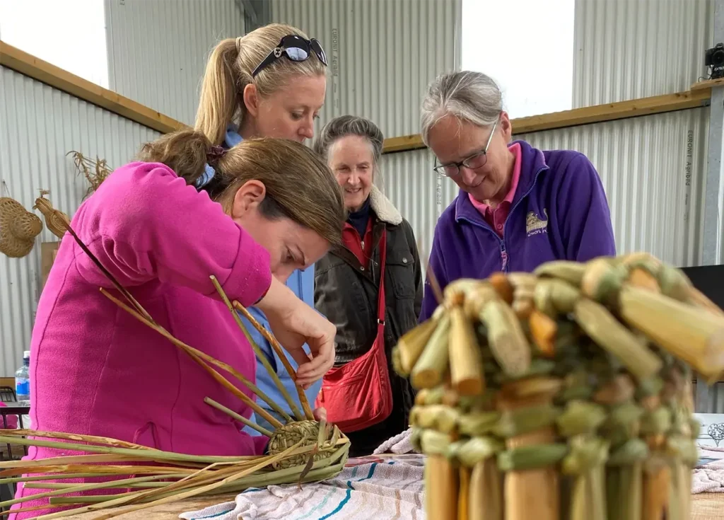 Crops, Craft and Creativity - Brookfield Farm Tours, Raw Irish Honey ...
